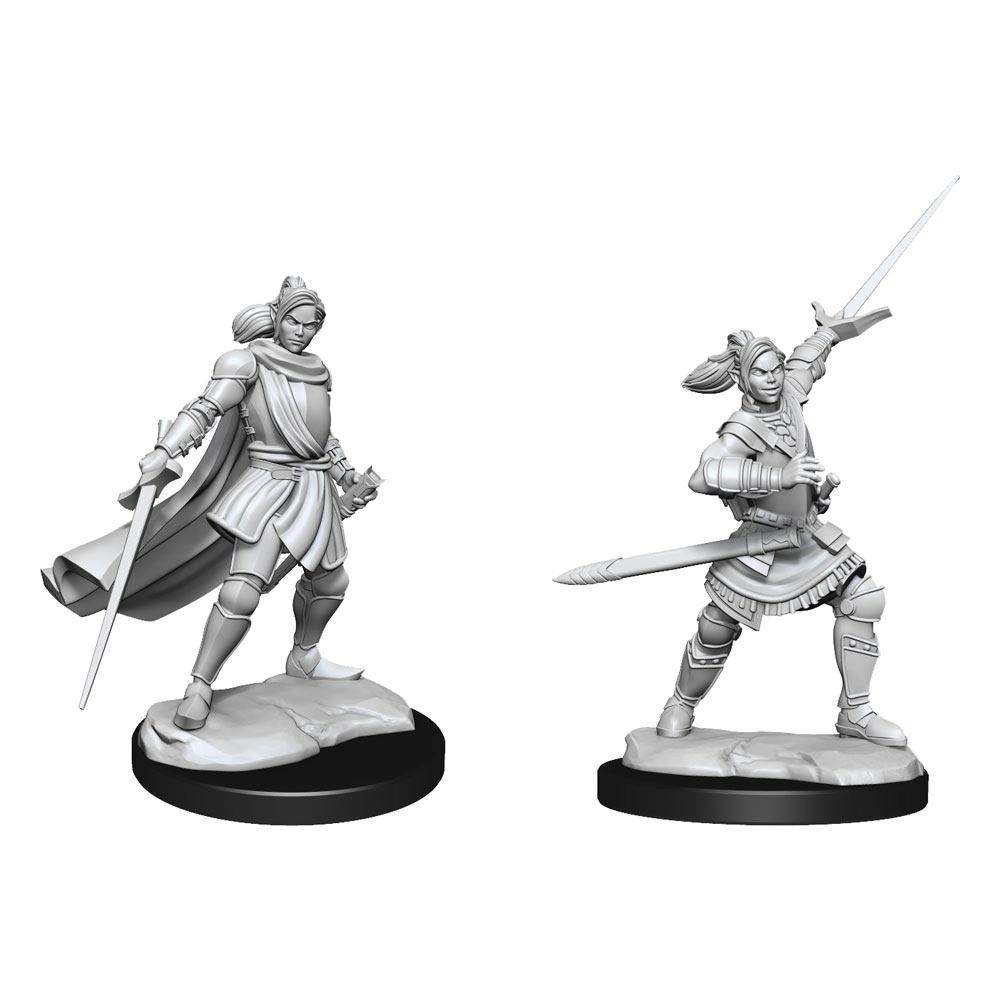 Critical role miniatures à peindre half-elf paladin xhorhas female ...