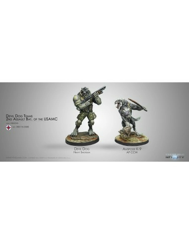 Infinity - devil dogs teams, 2nd assault bat. of the usamc
