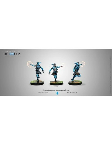 Infinity - kamau amphibian intervention teams (hacker)