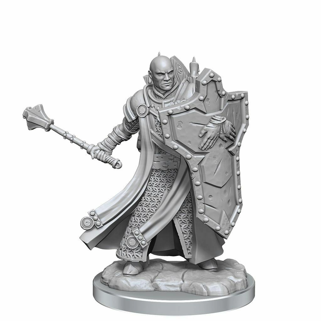 Dungeons & dragons frameworks miniature model kit human cleric male