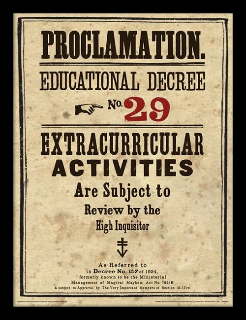 Harry potter - framed 30x40 print - educational decree no. 29